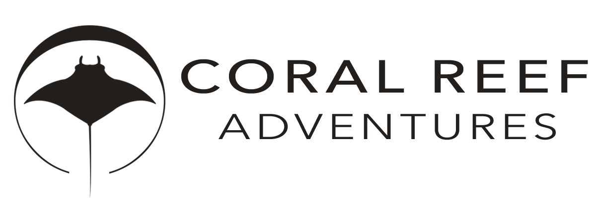 Kona Snorkel Tours | Manta Ray Snorkel Tours | Coral Reef Adventures